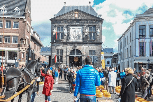 Kaasmarkten Nederland 2024 | OnzeSteden.nl